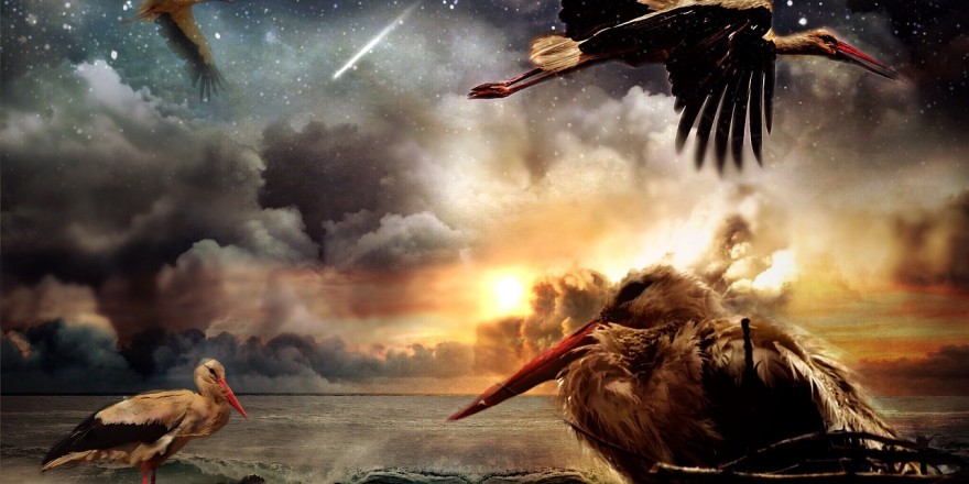 Custom Colors – Merlin